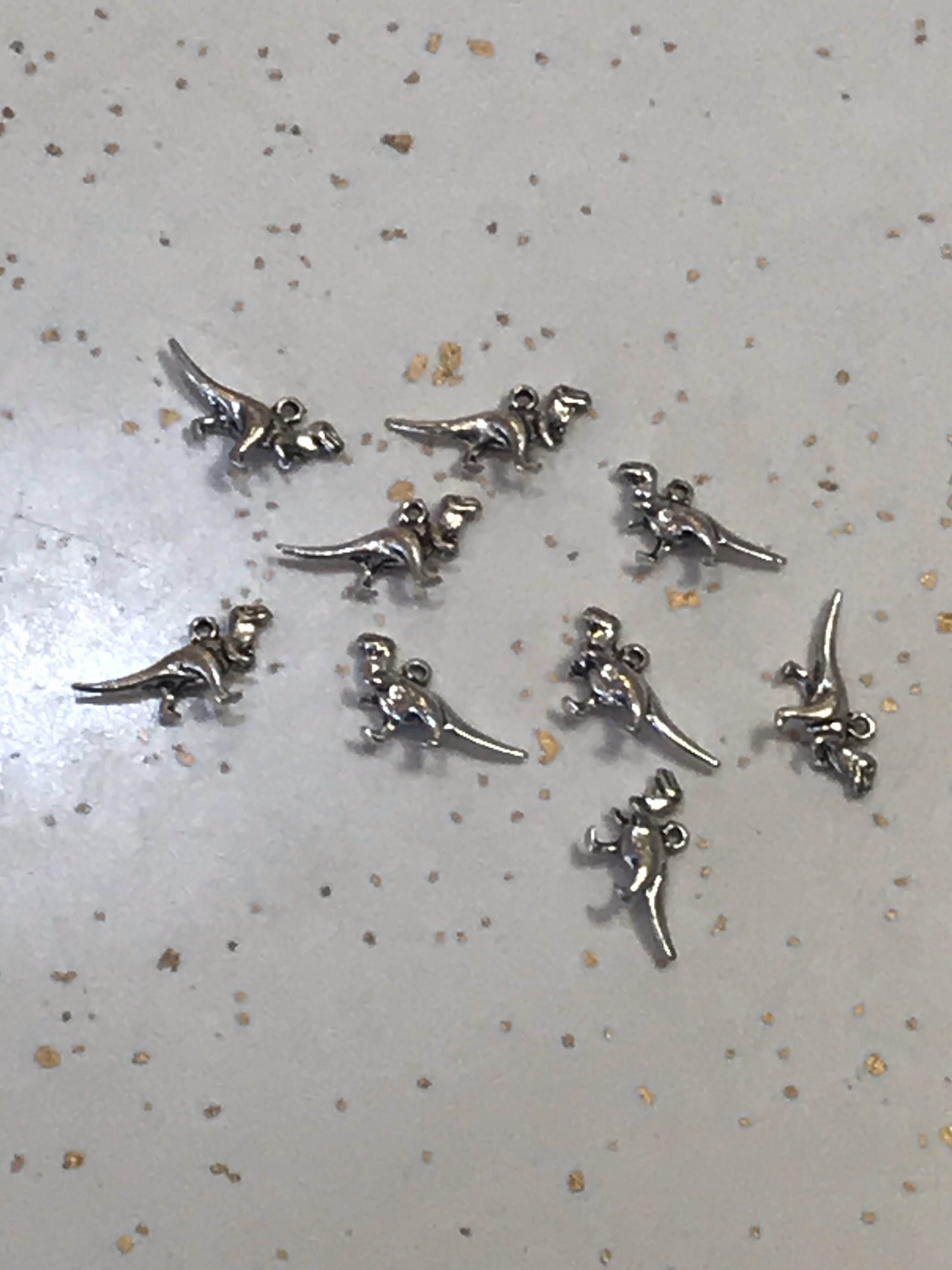 Pewter Charms